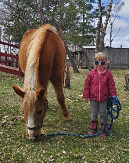 Pine River Riding Stable - A Horse For Every Rider - Hay Rides