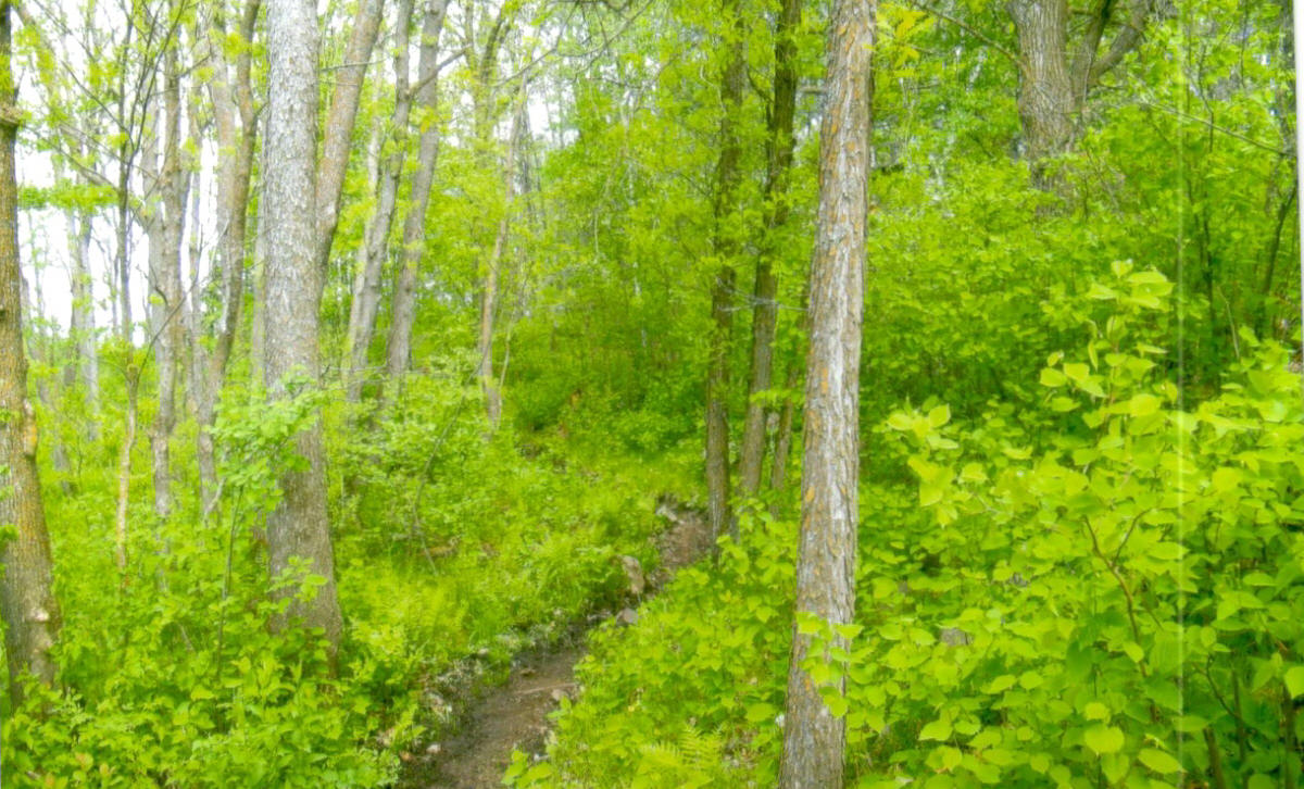 Pine River Riding Stable - A Horse For Every Rider - Hay Rides