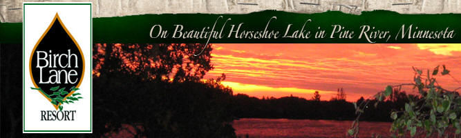 Pine River Riding Stable - Area Lodging Resorts Hotels in Pine River MN