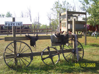 Pine River Riding Stable - Horseback Riding - Stud Service - Horse ...