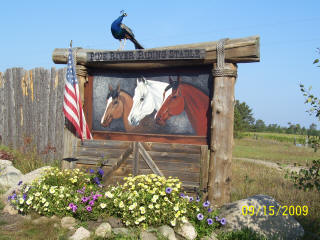 Pine River Riding Stable - Horseback Riding - Stud Service - Horse ...